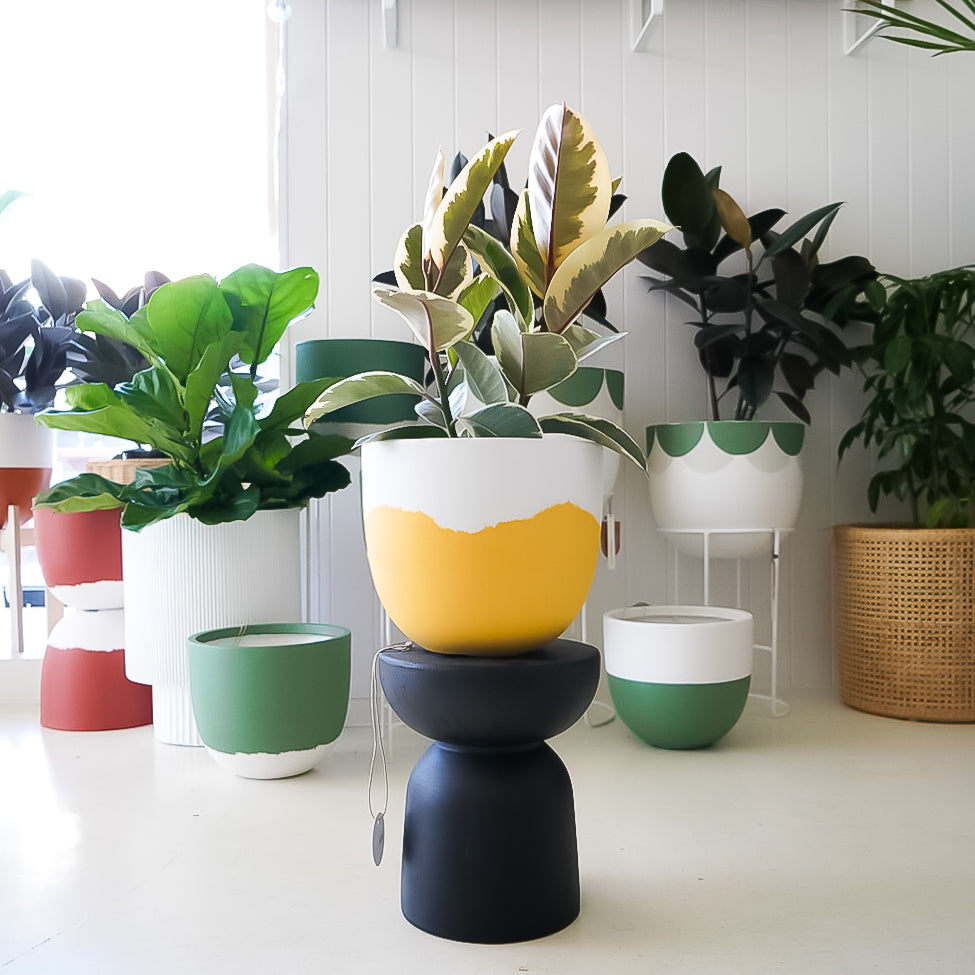 Plinth Stand - Black by Toast & Honey Studio - Toast and honey studio