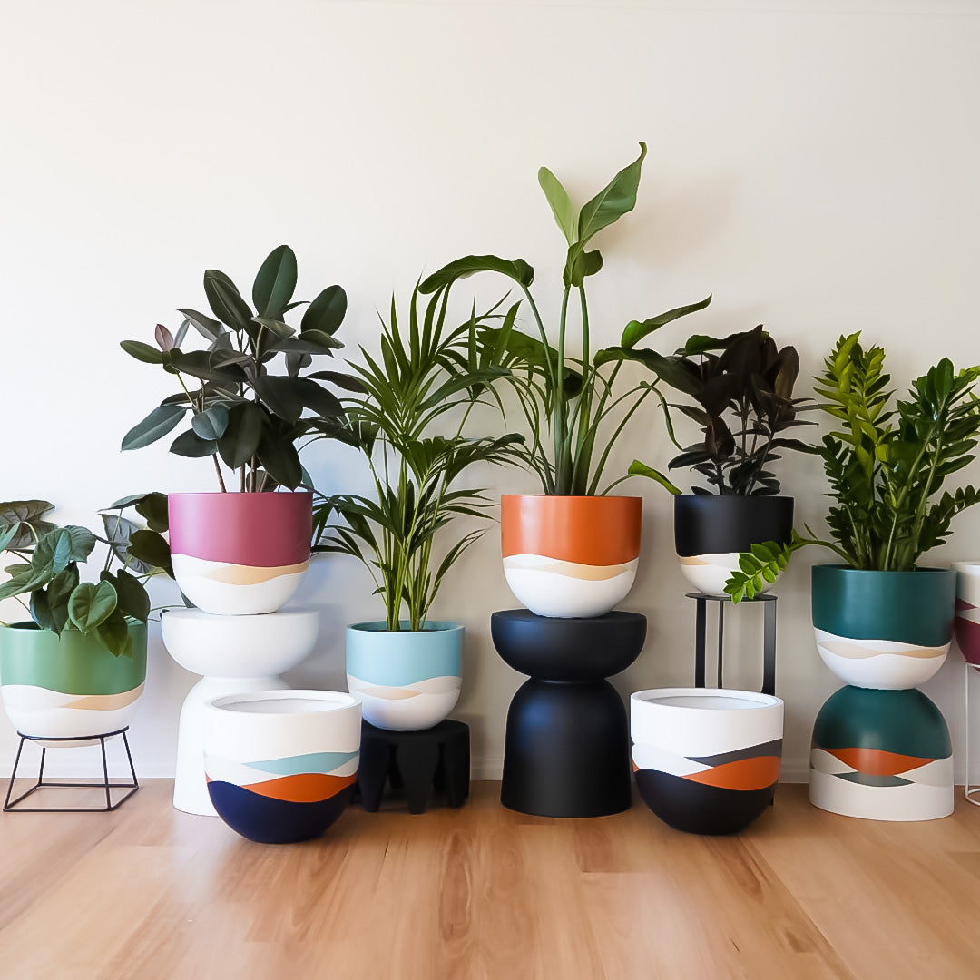 Toast and Honey Studio: Designer Planters & Planter Stands