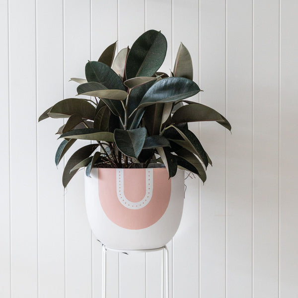 Arch Planter - Toast and honey studio