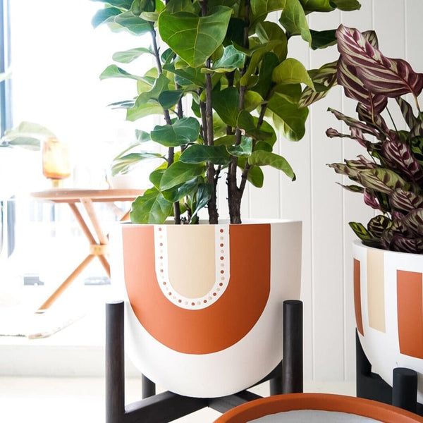 Arch Planter - Toast and honey studio