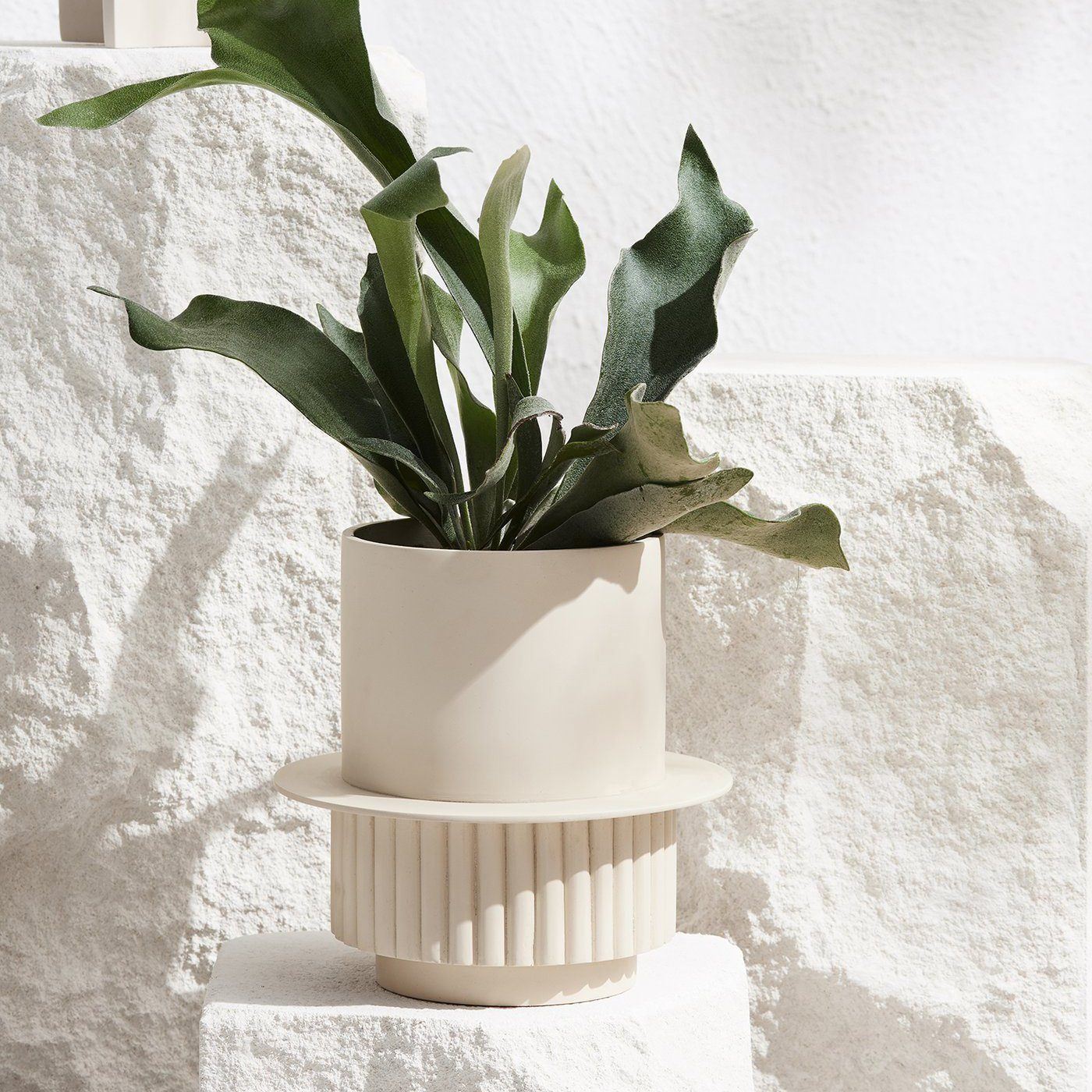 Roma Planter - Fossil by Capra Designs - Toast and honey studio